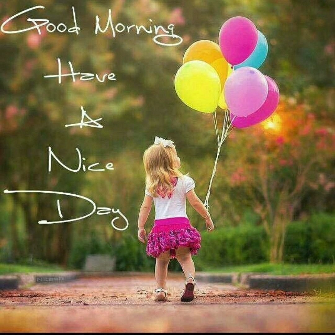 50+ Best Beautiful Good Morning Pictures in English