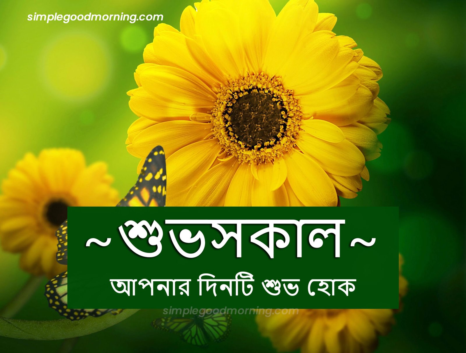 Bengali Good Morning Quotes Beautiful Images
