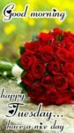50+ Happy Tuesday Morning Quotes Images